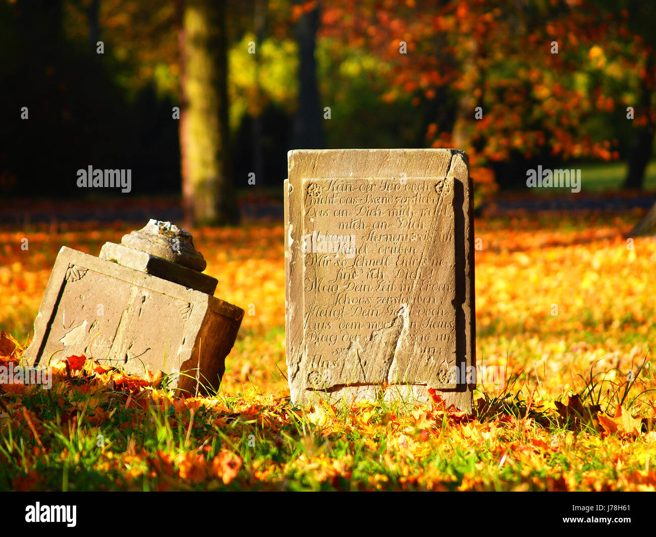leaf park leaves gravestone tombstone mourning sorrow grave foliage ...