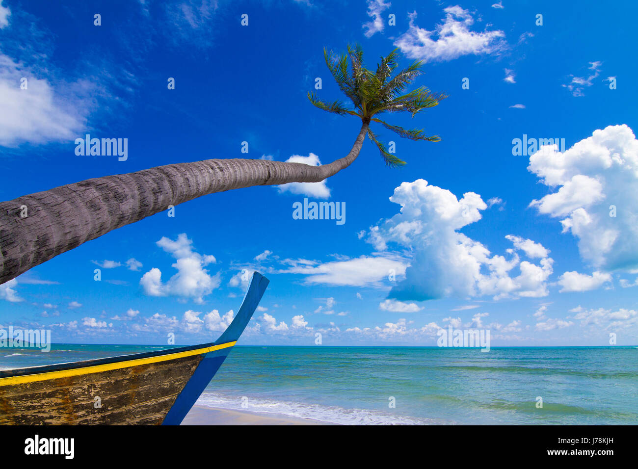 Coconut Palm tree with a ship on the white sandy beach Stock Photo - Alamy