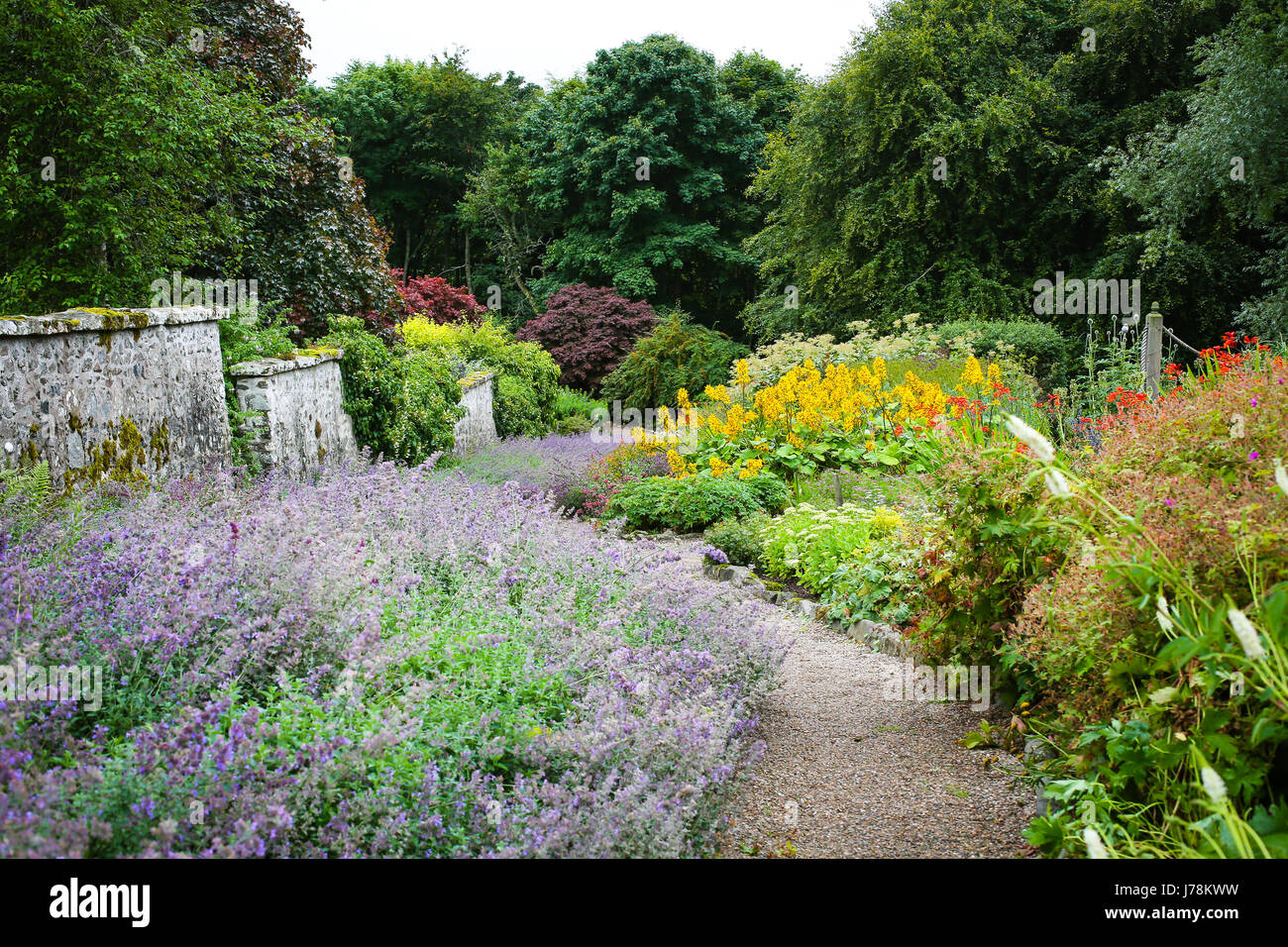 Wind through flowers hi-res stock photography and images - Alamy