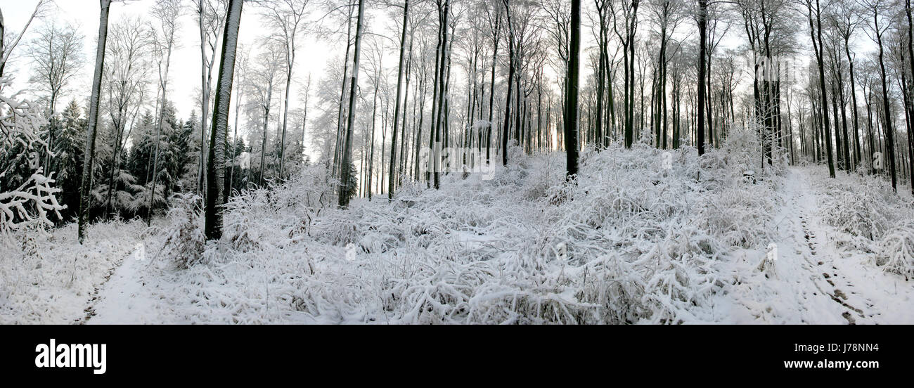 beautiful beauteously nice winter cold sight view outlook perspective ...