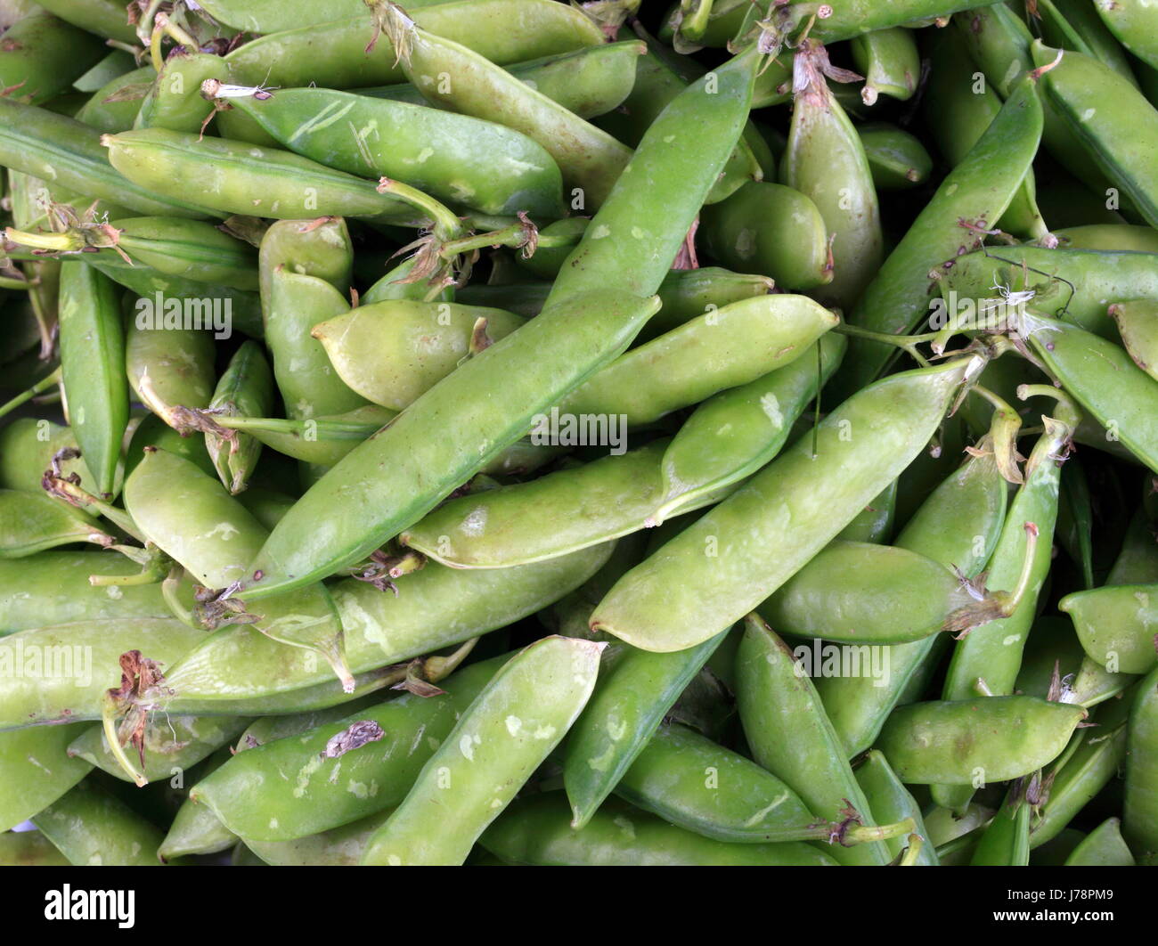 many green pea at day Stock Photo - Alamy