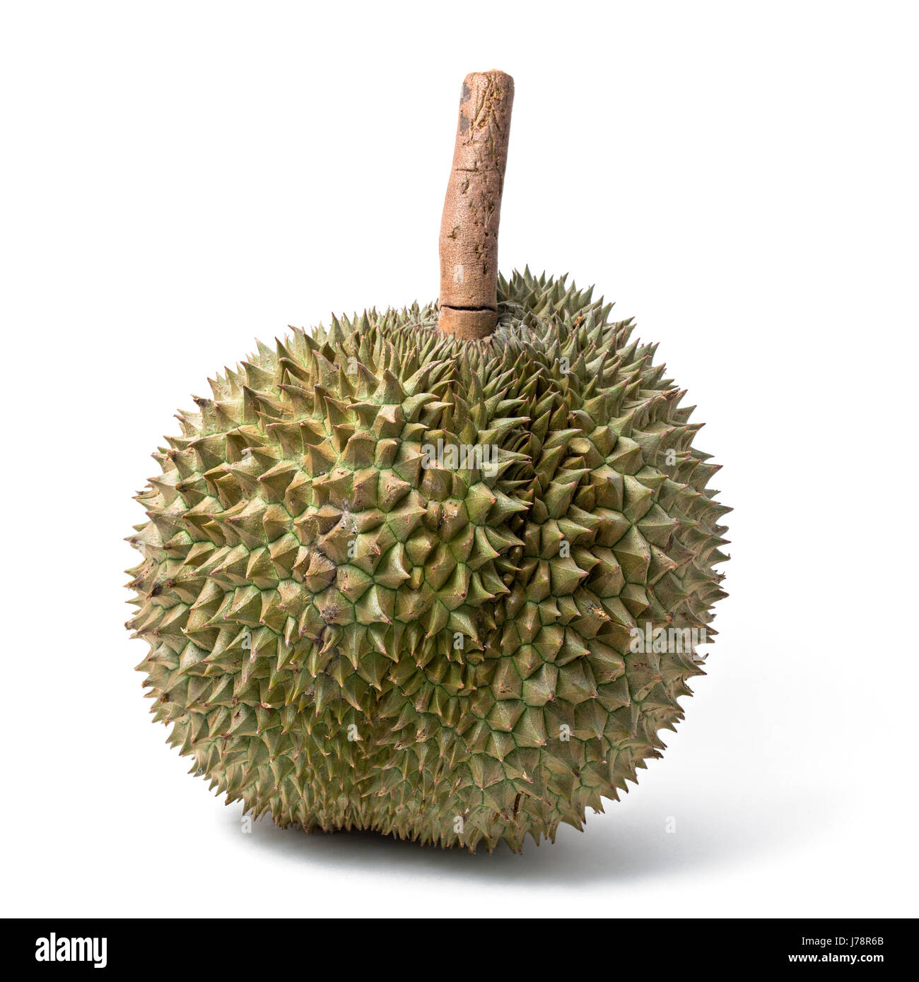 durian isolated on white Stock Photo - Alamy