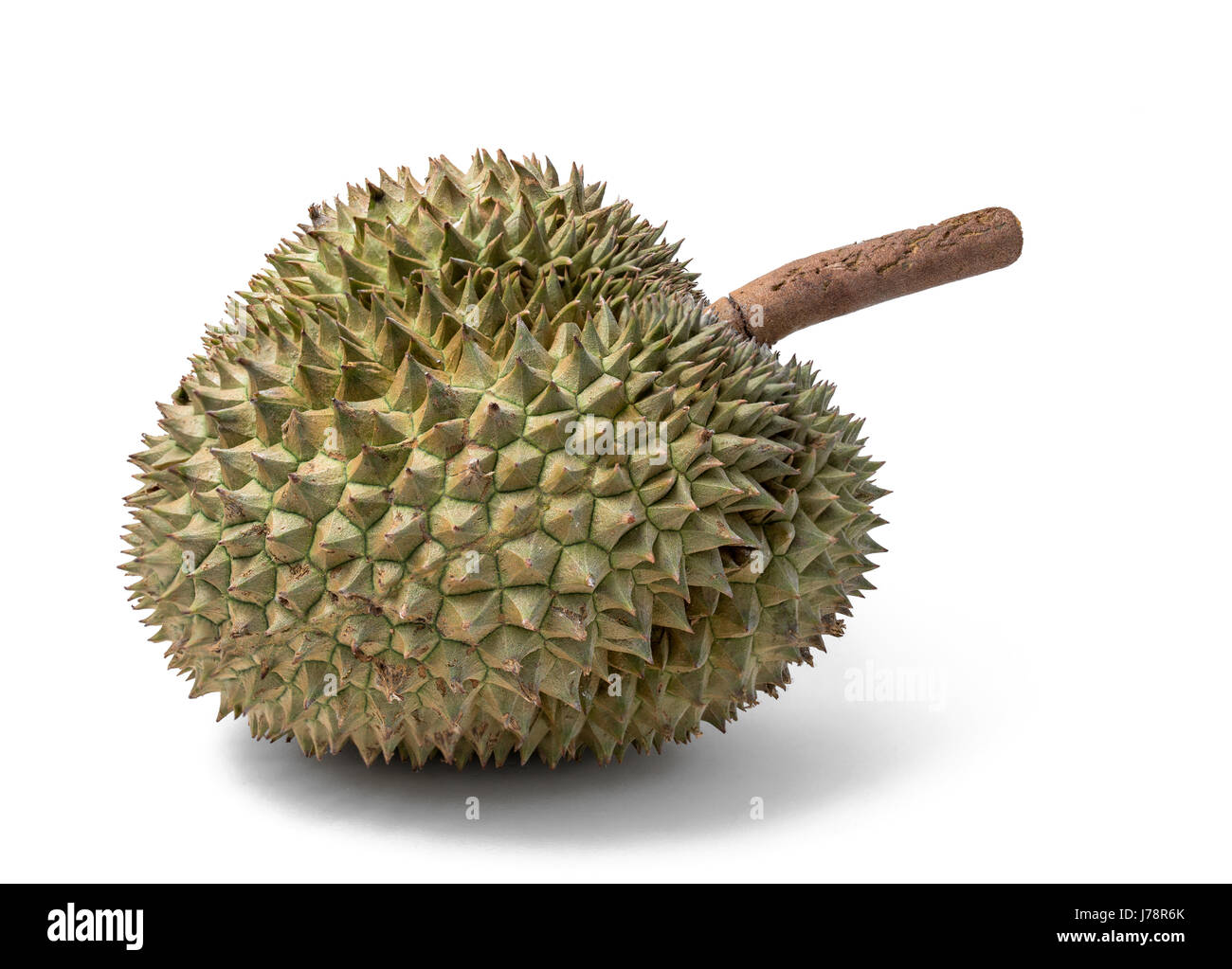 durian isolated on white Stock Photo - Alamy
