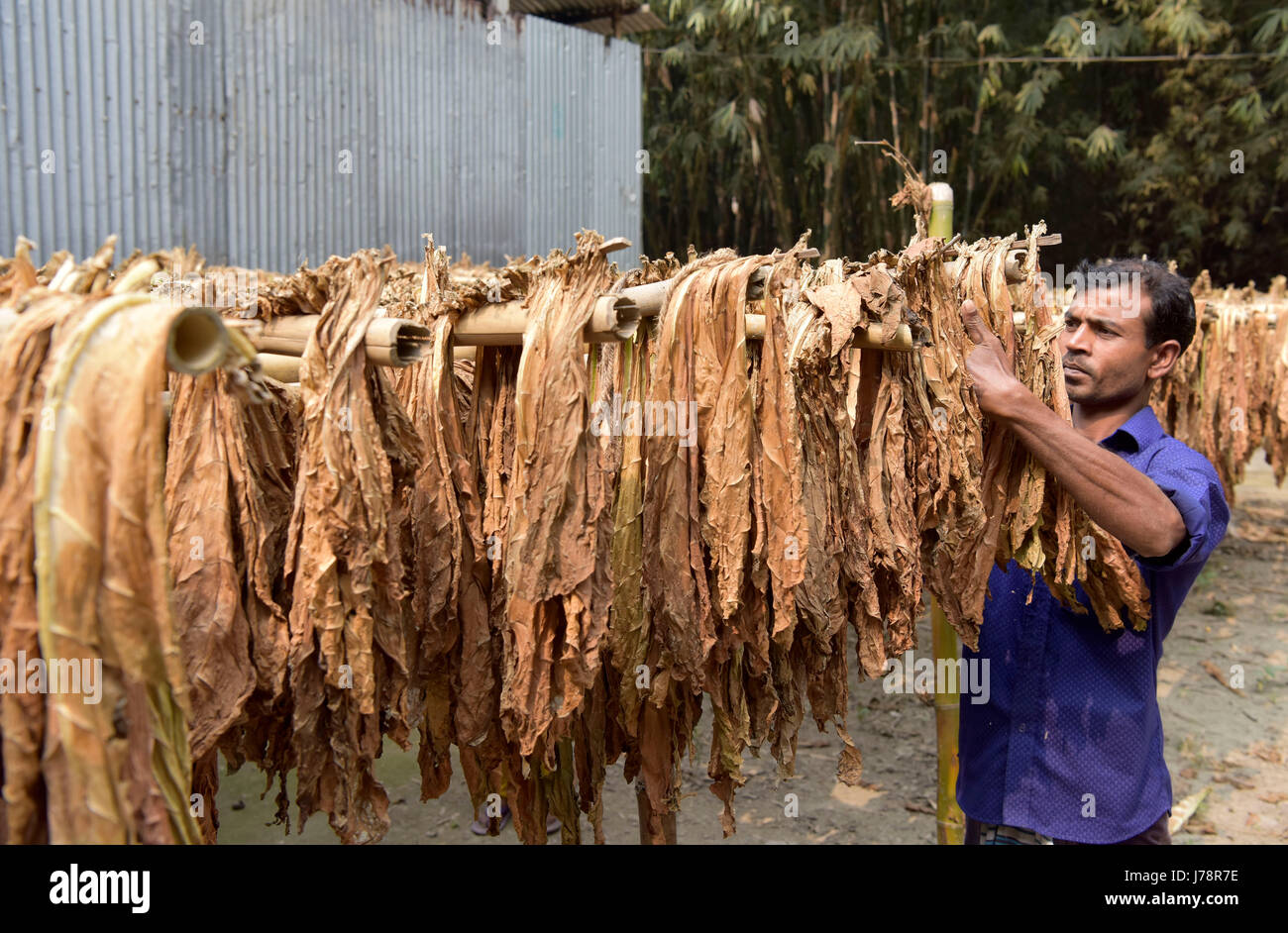 Sun rising bangladesh hi-res stock photography and images - Alamy