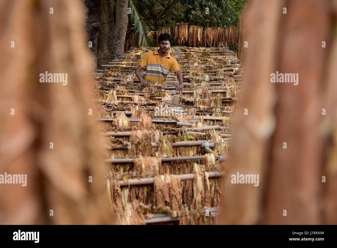 Sun rising bangladesh hi-res stock photography and images - Alamy