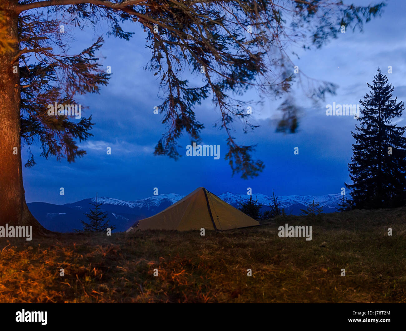 Yellow tourist tent under tree in the mountains Stock Photo - Alamy