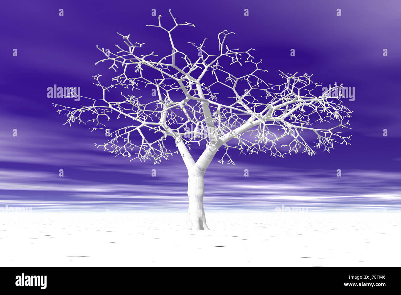 blue tree winter azure bluer firmament sky backdrop background blue ...