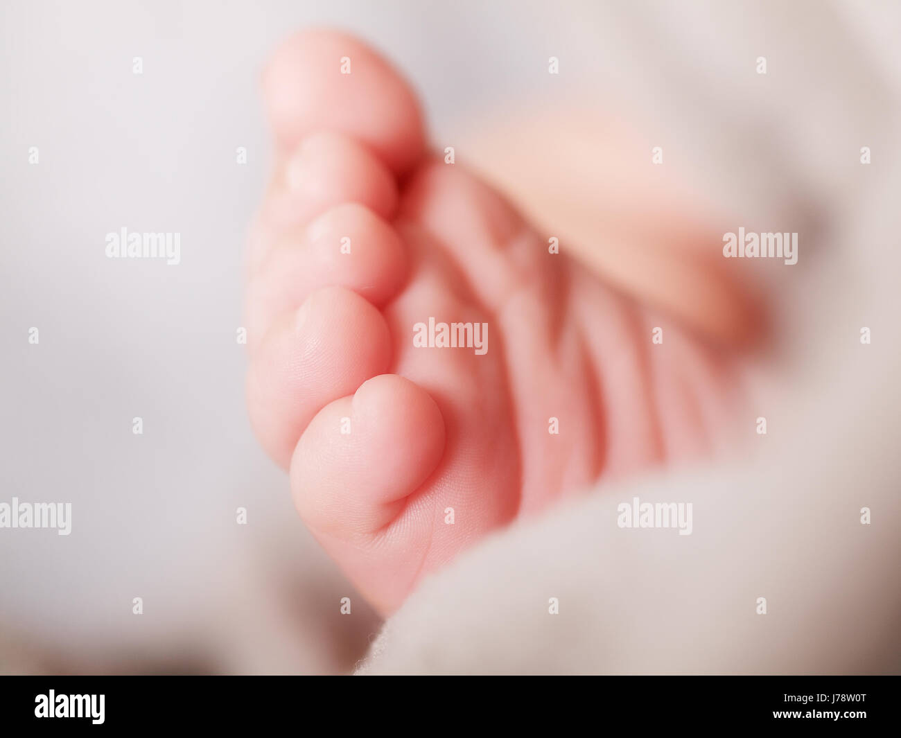 baby newborn child newborn infant newborn neonate child baby toe ...