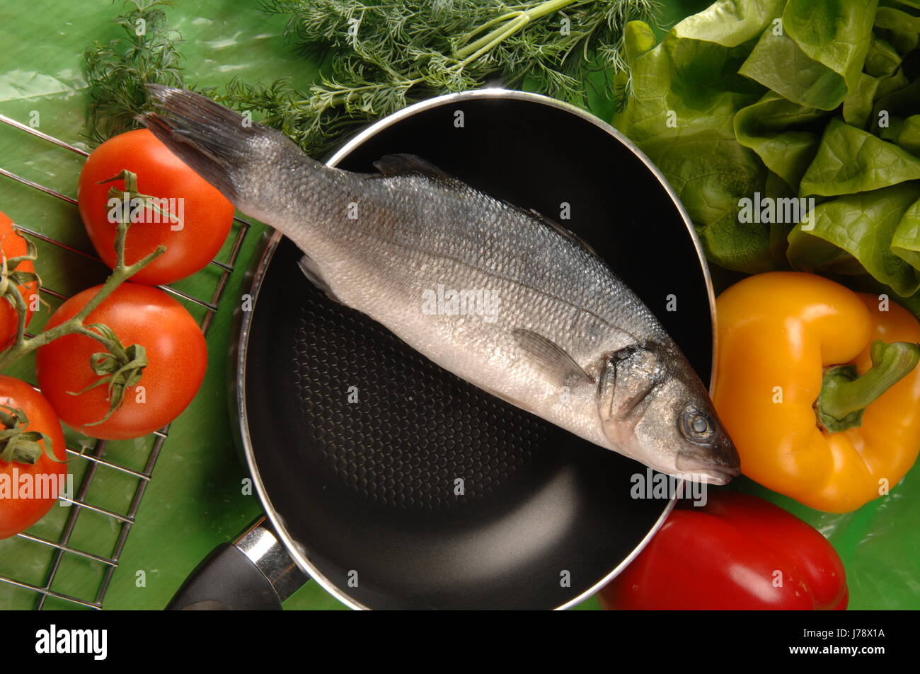food aliment fauna fish diet surface of the water munching carp fresh ...