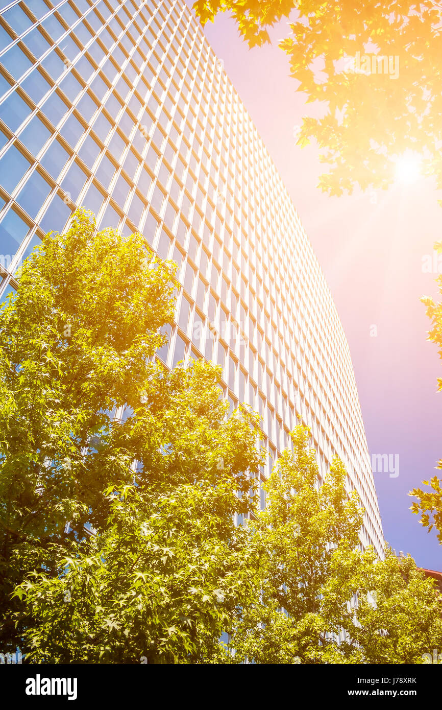Perspective view of contemporary office building with branches of tree ...