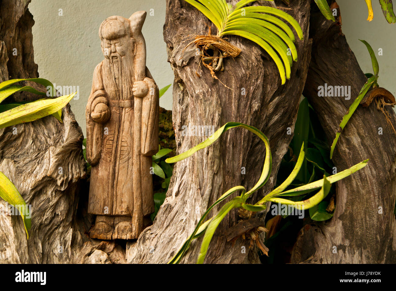 Chinese priest beard hi-res stock photography and images - Alamy