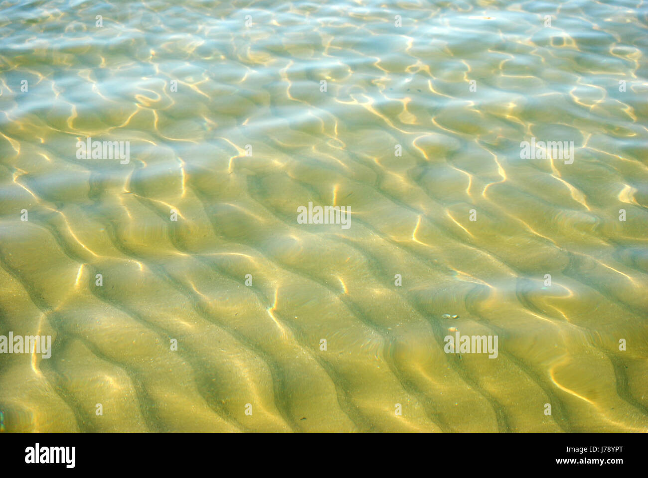 light waves in water Stock Photo - Alamy
