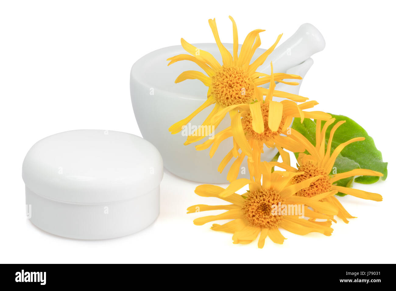 mortar cream ointment arnica optional flower plant bloom blossom ...