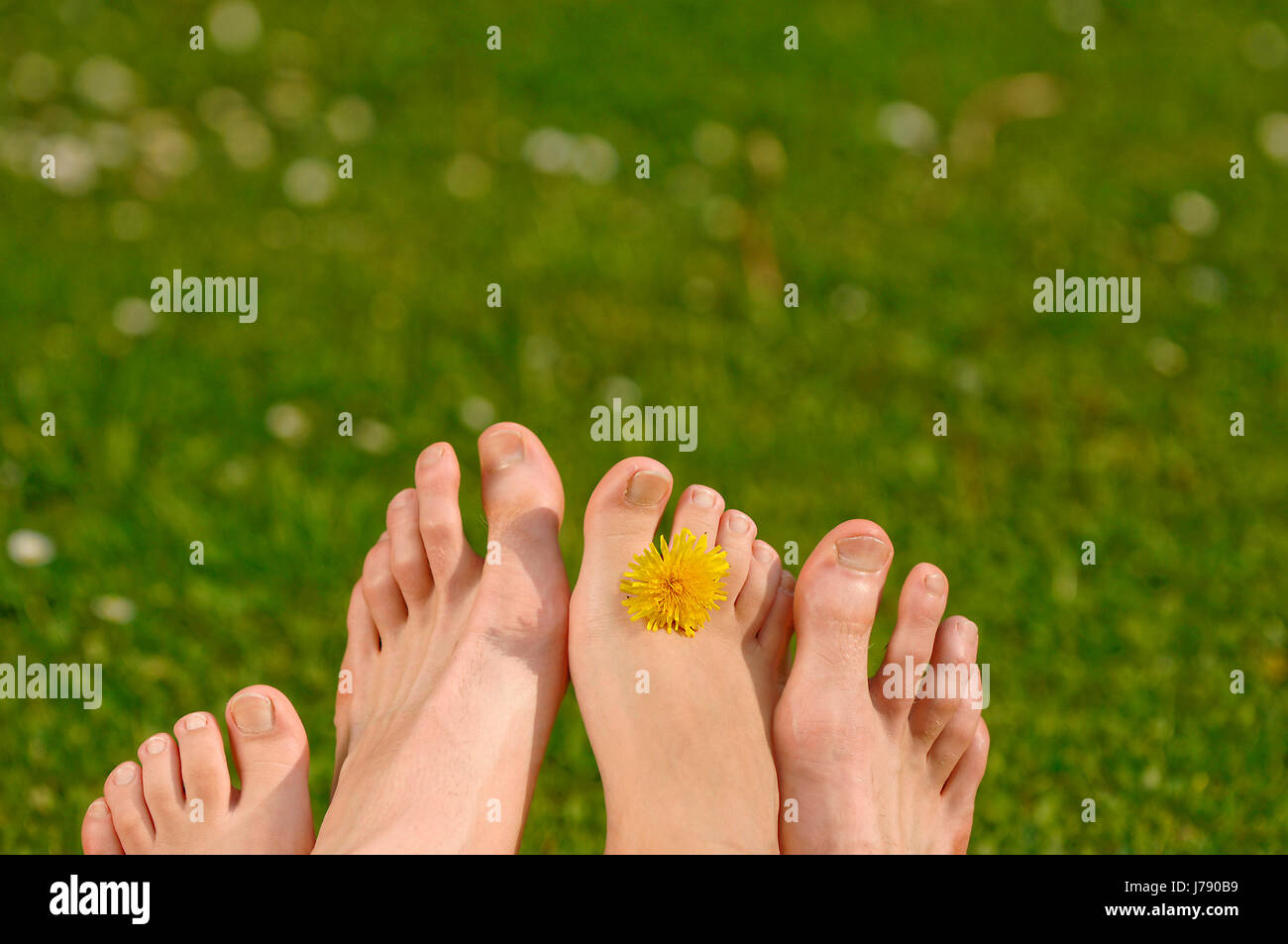 Woman four feet hi-res stock photography and images - Alamy