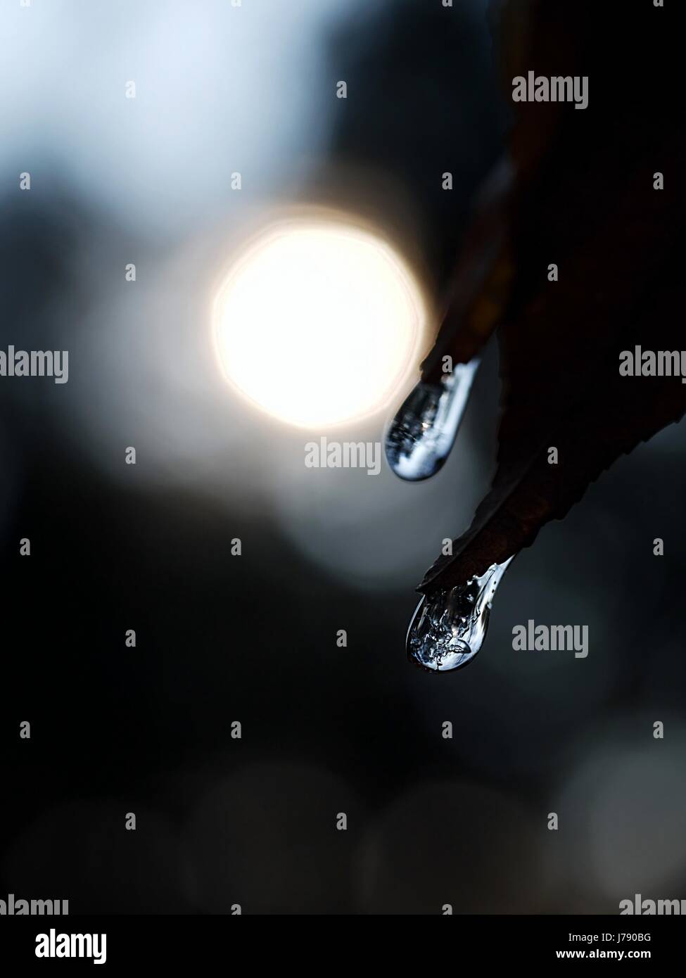 sun and ice Stock Photo - Alamy