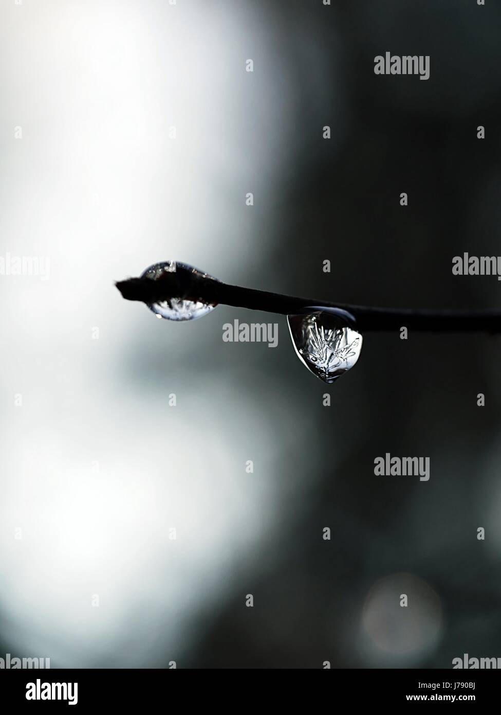 winter cold ice frost frozen water drop drip drops seeping sopping ...