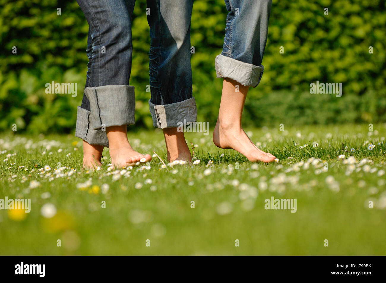legs walk go going walking spring meadow man legs walk go going walking ...
