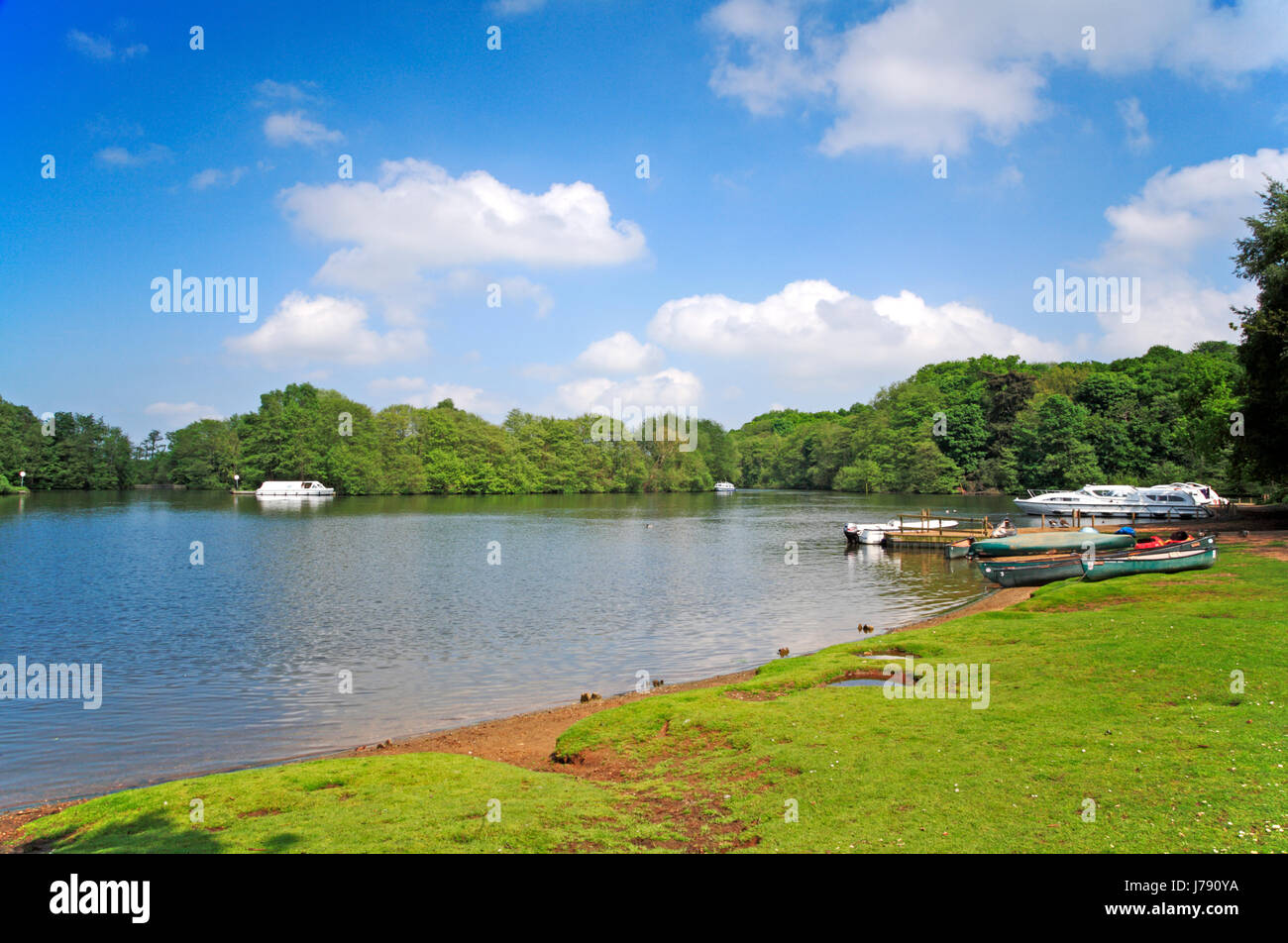 A view of Salhouse Broad on the Norfolk Broads at Salhouse, Norfolk ...