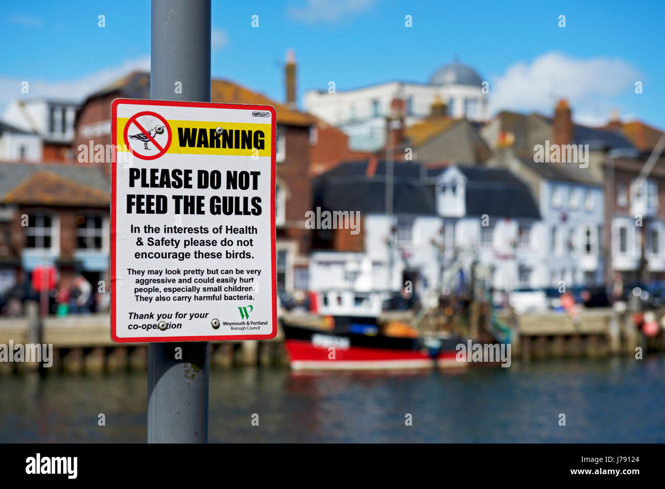 Sign - Please do not feed the gulls - in Weymouth, Dorset, England UK ...