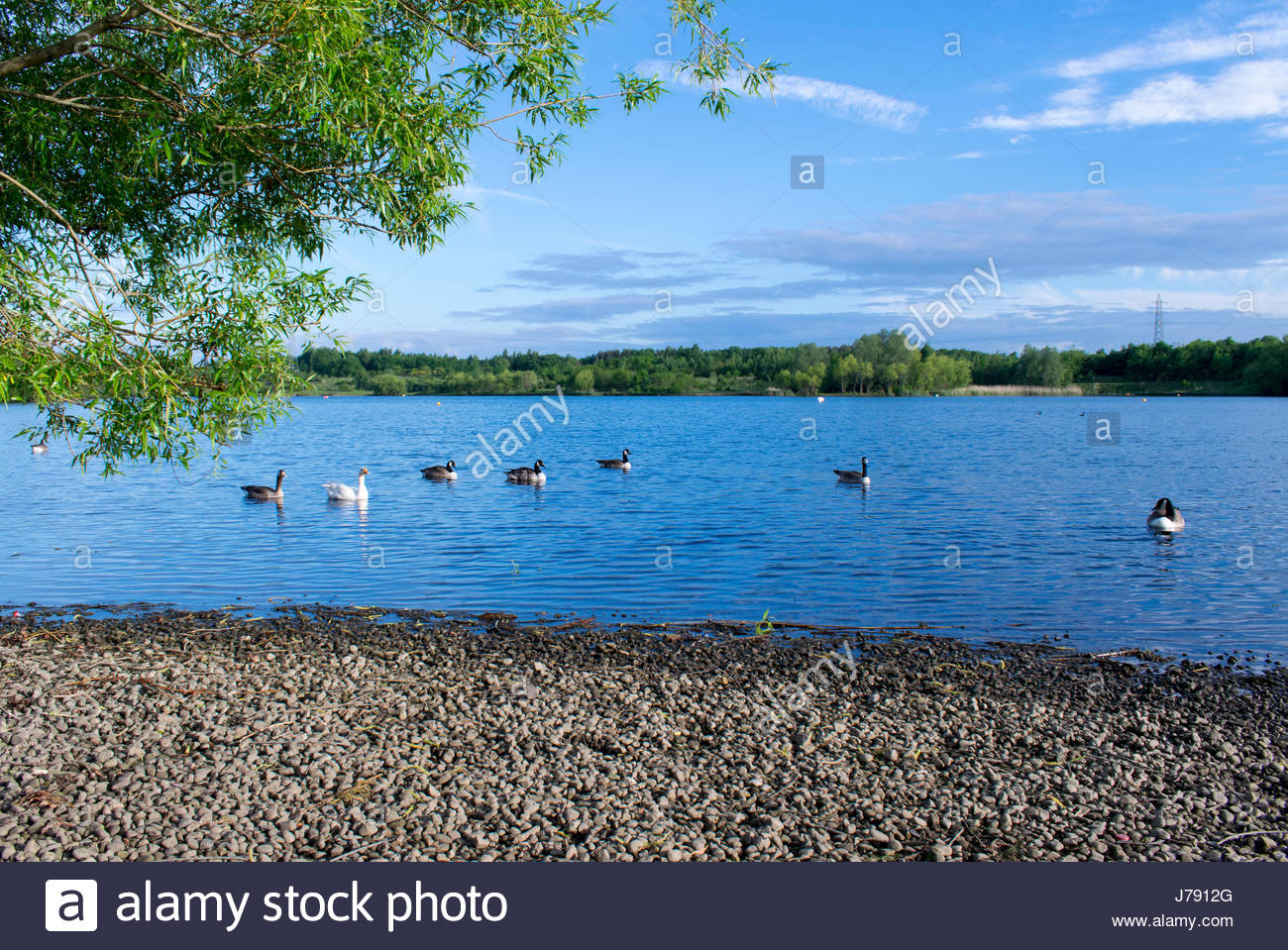 Manvers Stock Photos & Manvers Stock Images - Alamy