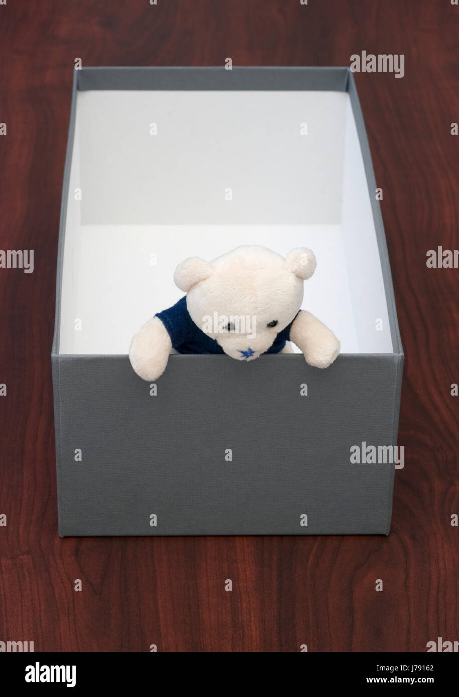 animal toy puppy box boxes cardboard carton present macro close-up ...