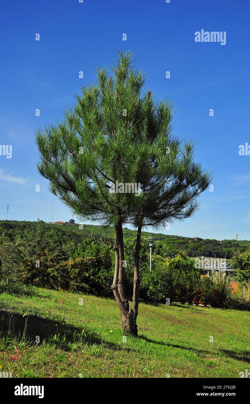 landscape scenery countryside nature humans human beings people folk ...