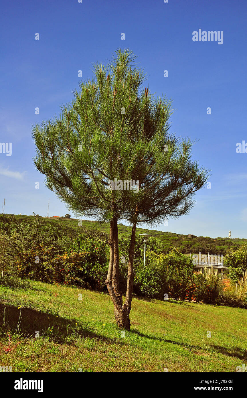 landscape scenery countryside nature humans human beings people folk ...