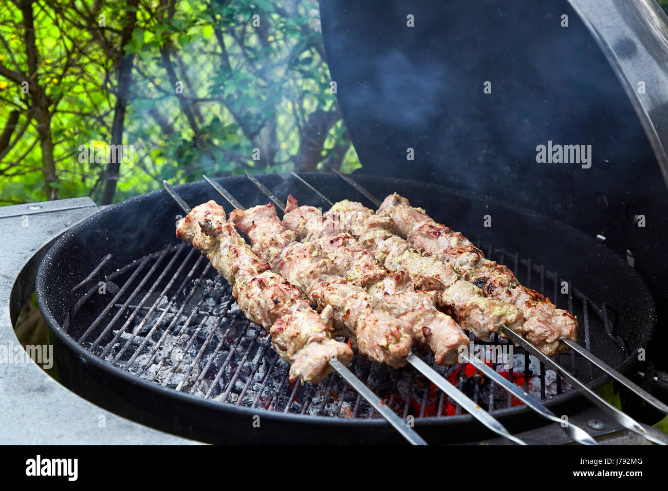Barbecue skewers meat kebabs on a grill, selective focus Stock Photo ...