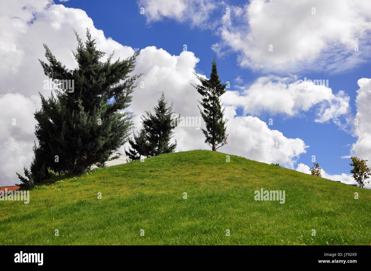 landscape scenery countryside nature ground soil earth humus portugal ...