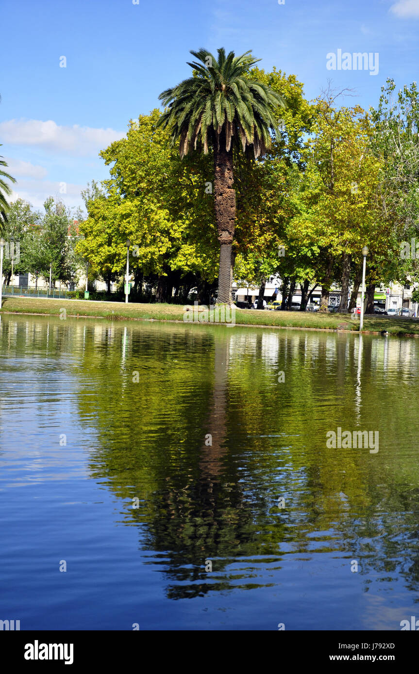 landscape scenery countryside nature park radio silence quietness ...