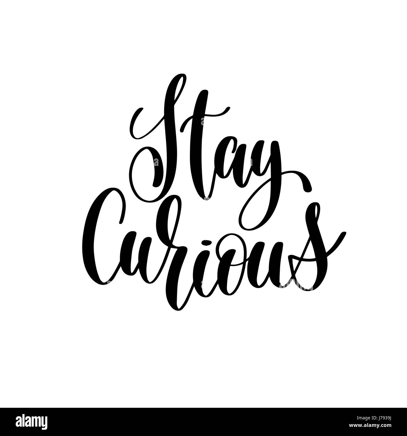 stay curious black and white hand lettering inscription Stock Vector ...