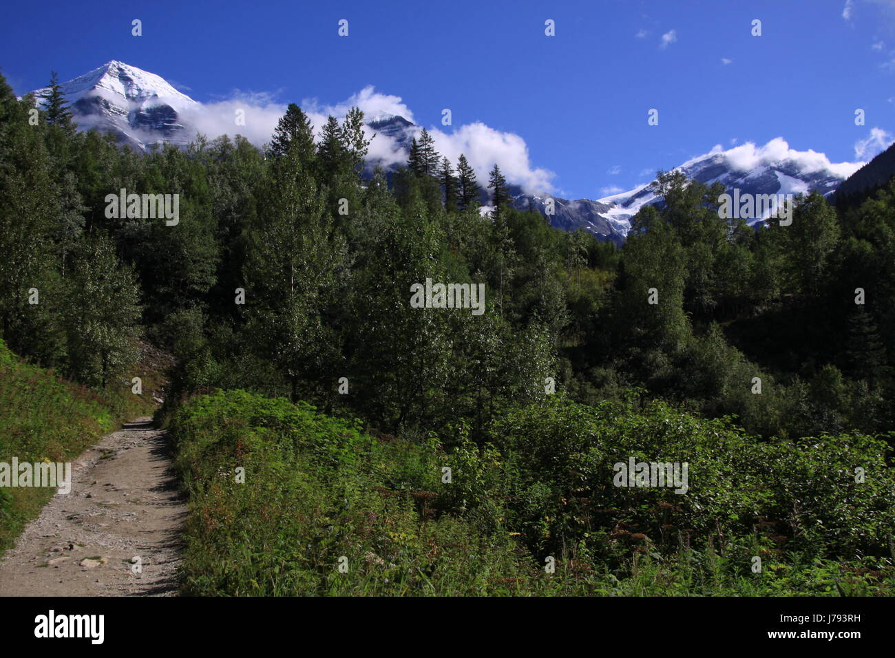 the road to mount robson Stock Photo - Alamy
