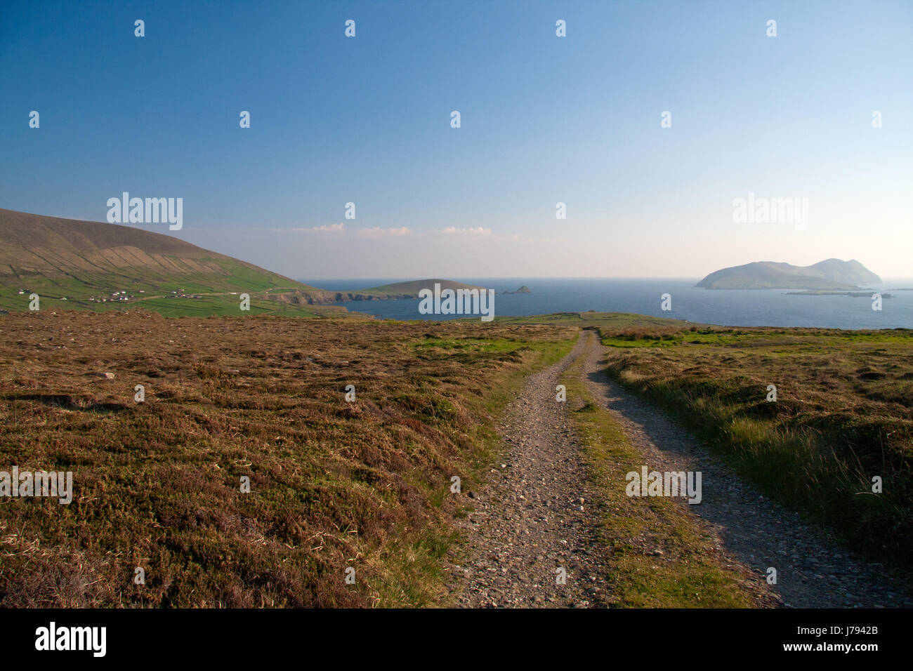 coastal path in ireland Stock Photo - Alamy