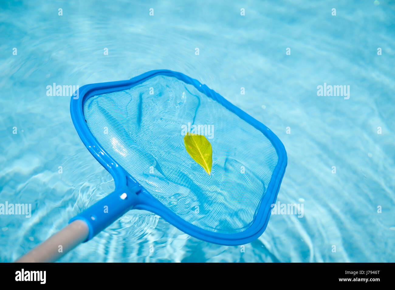 blue handle bugs destinations cleaner catching work job employment care ...