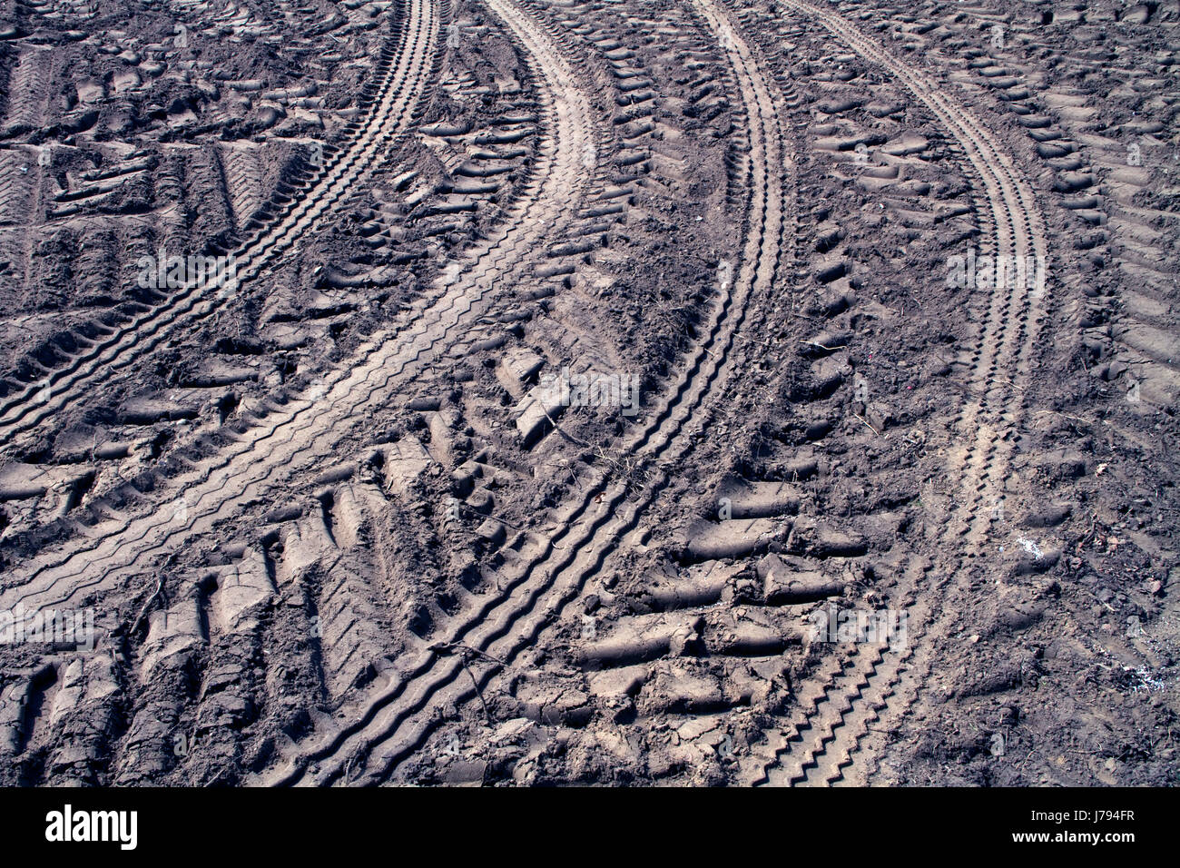 tire tracks of a tractor Stock Photo - Alamy