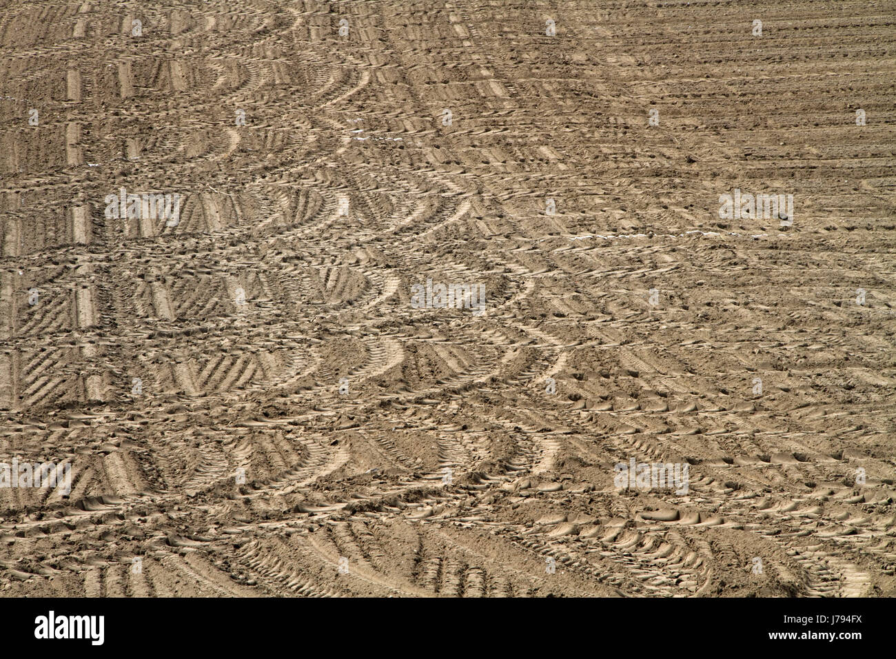 tire tracks of a tractor Stock Photo - Alamy