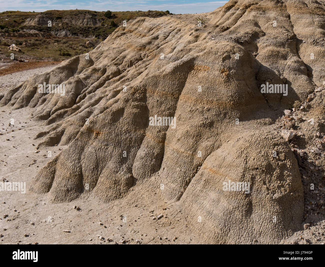Small bentonite knoll near South Petrified Forest, South Unit, Theodore ...