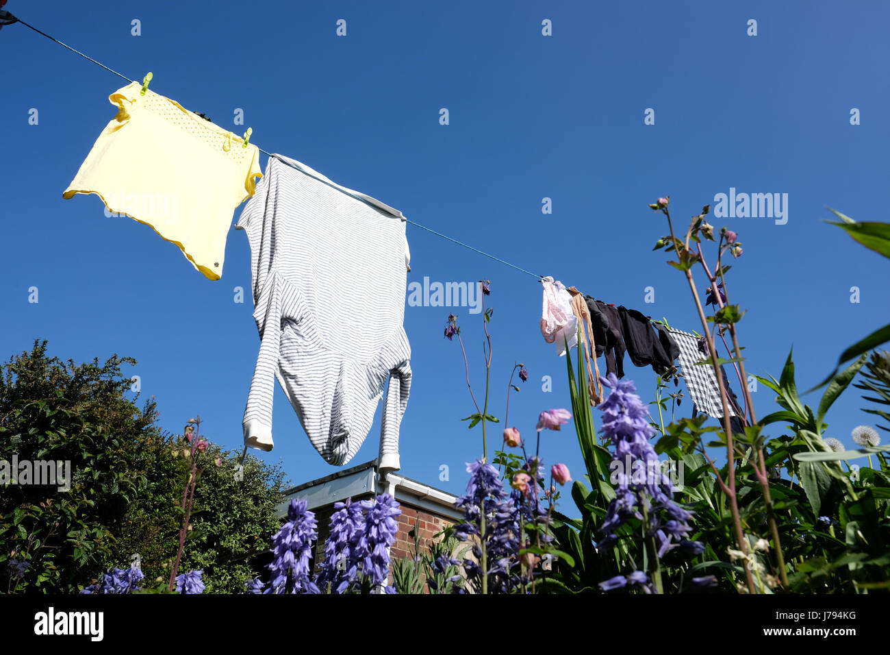 Drying line hi-res stock photography and images - Alamy