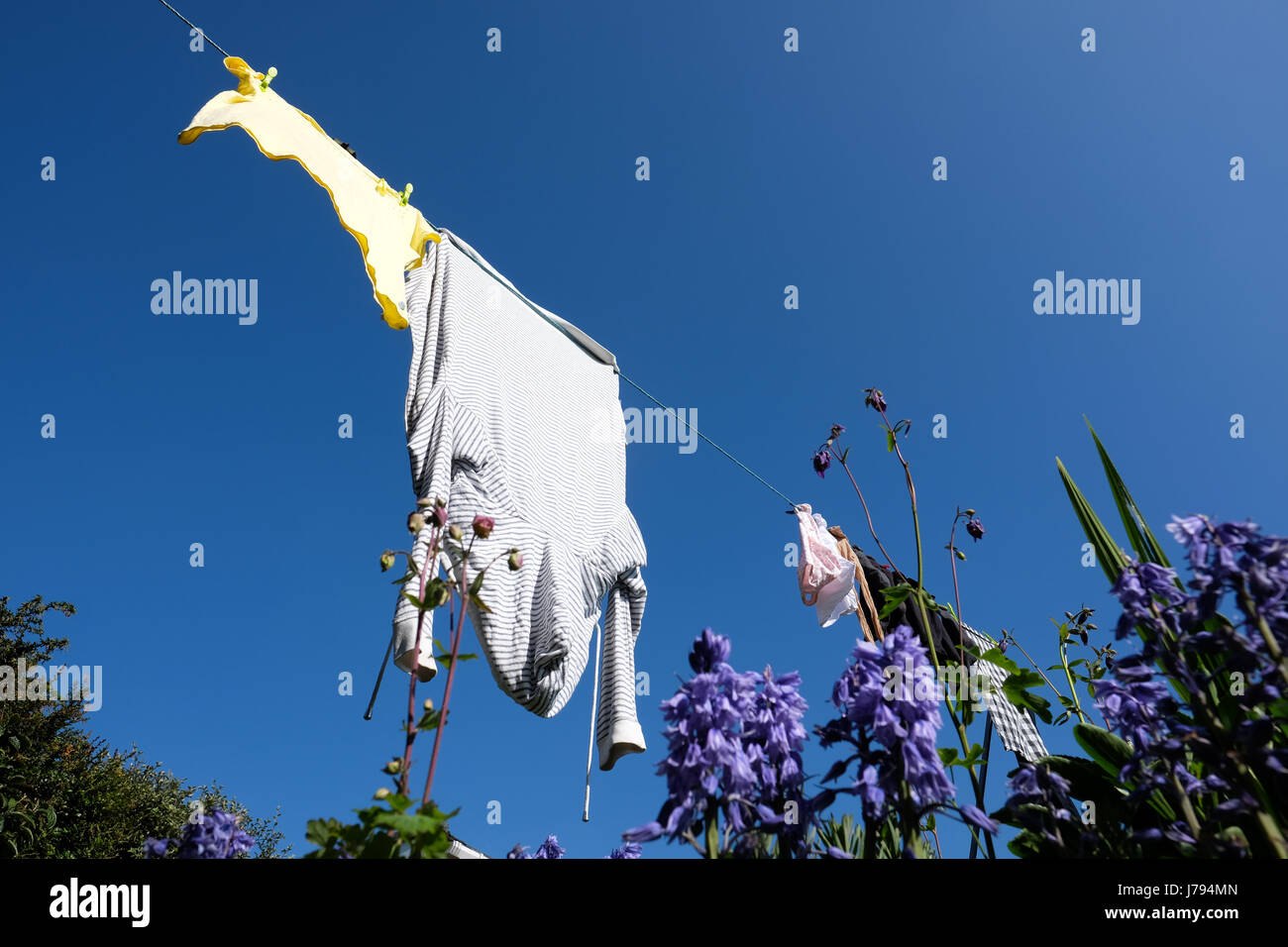 Drying line hi-res stock photography and images - Alamy