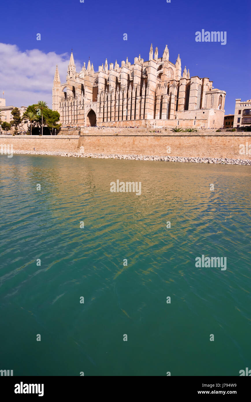 palma de mallorca catedral la seu1 Stock Photo - Alamy