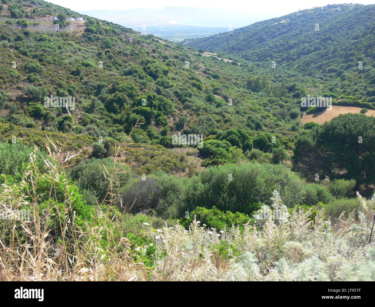 Binnenland von sardinien hi-res stock photography and images - Alamy
