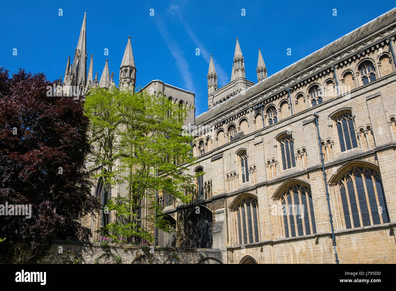 A view of the exterior of Peterborough Cathedral in the historic city ...