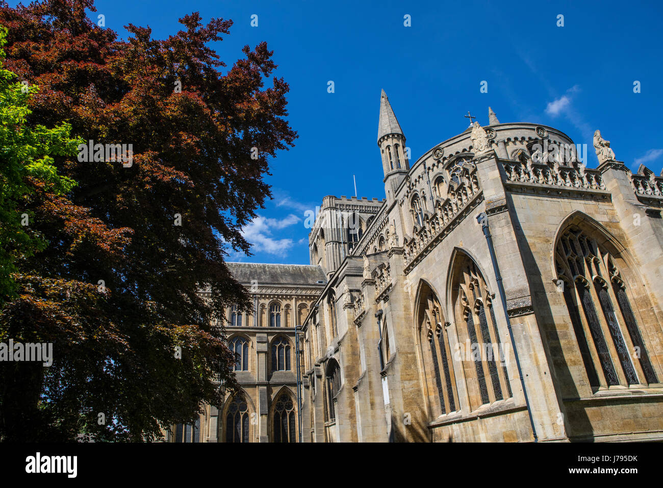 A view of the exterior of Peterborough Cathedral in the historic city ...