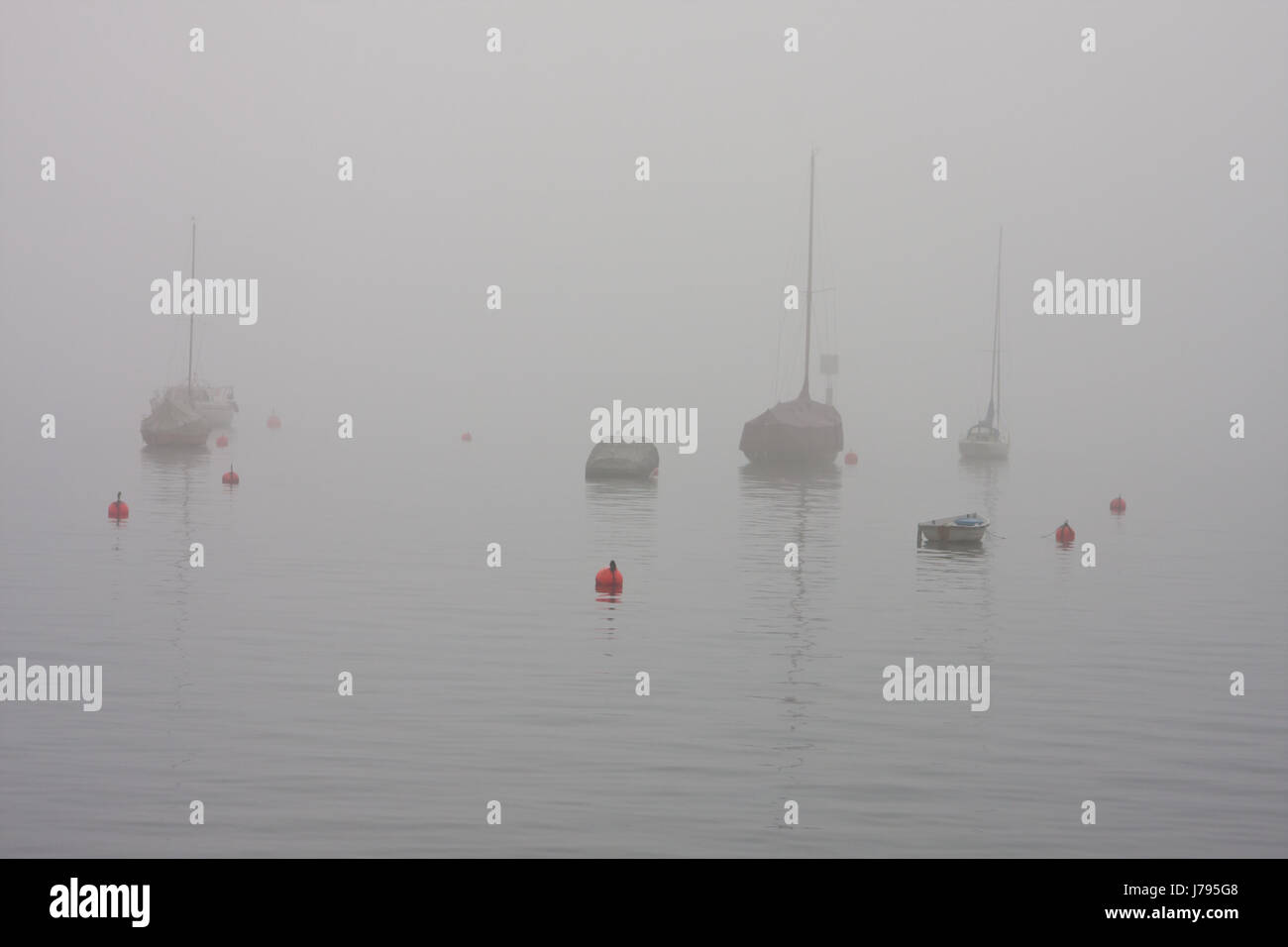 fog on the lake Stock Photo - Alamy