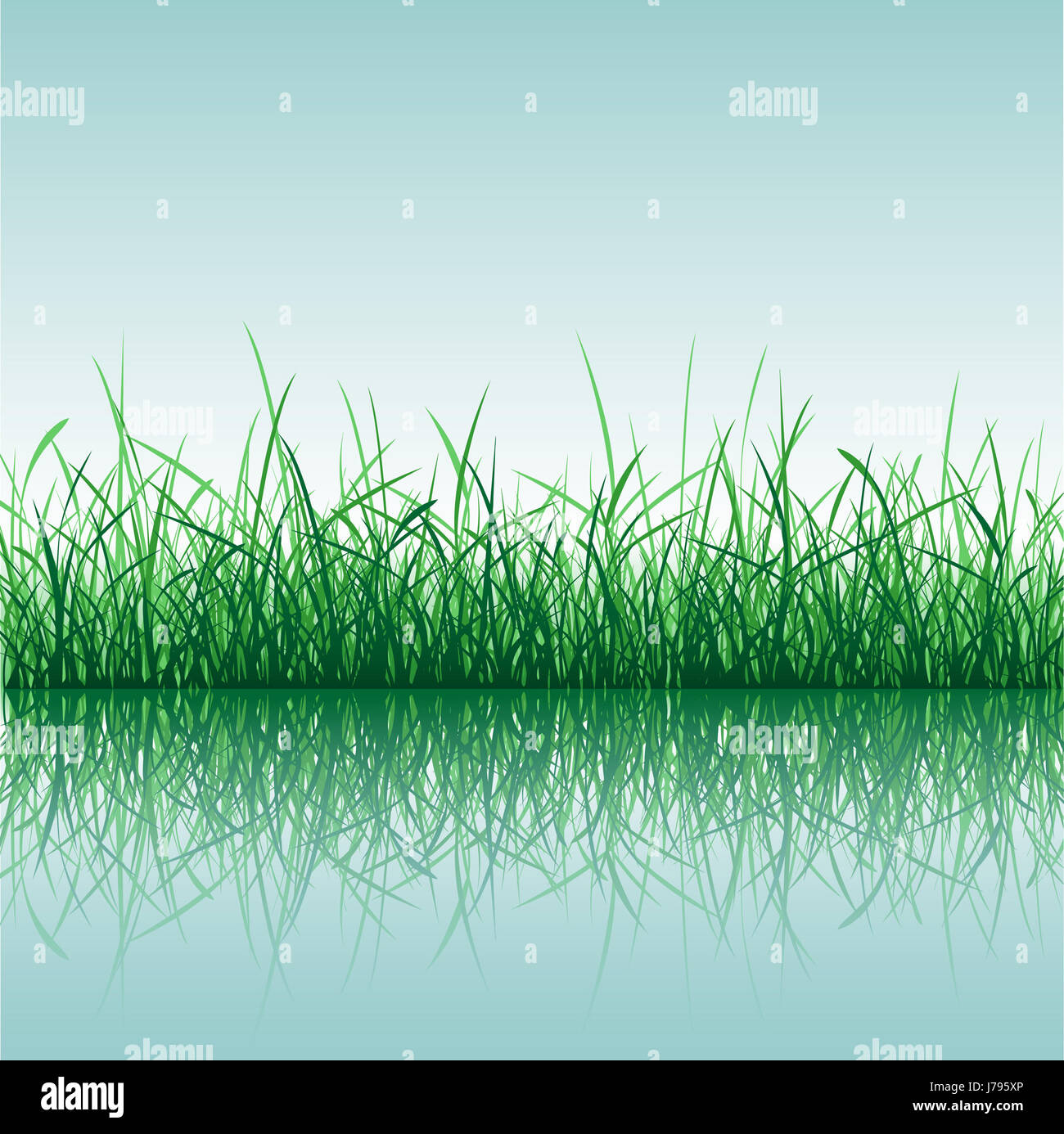 reflection meadow grass lawn green water environment enviroment garden ...