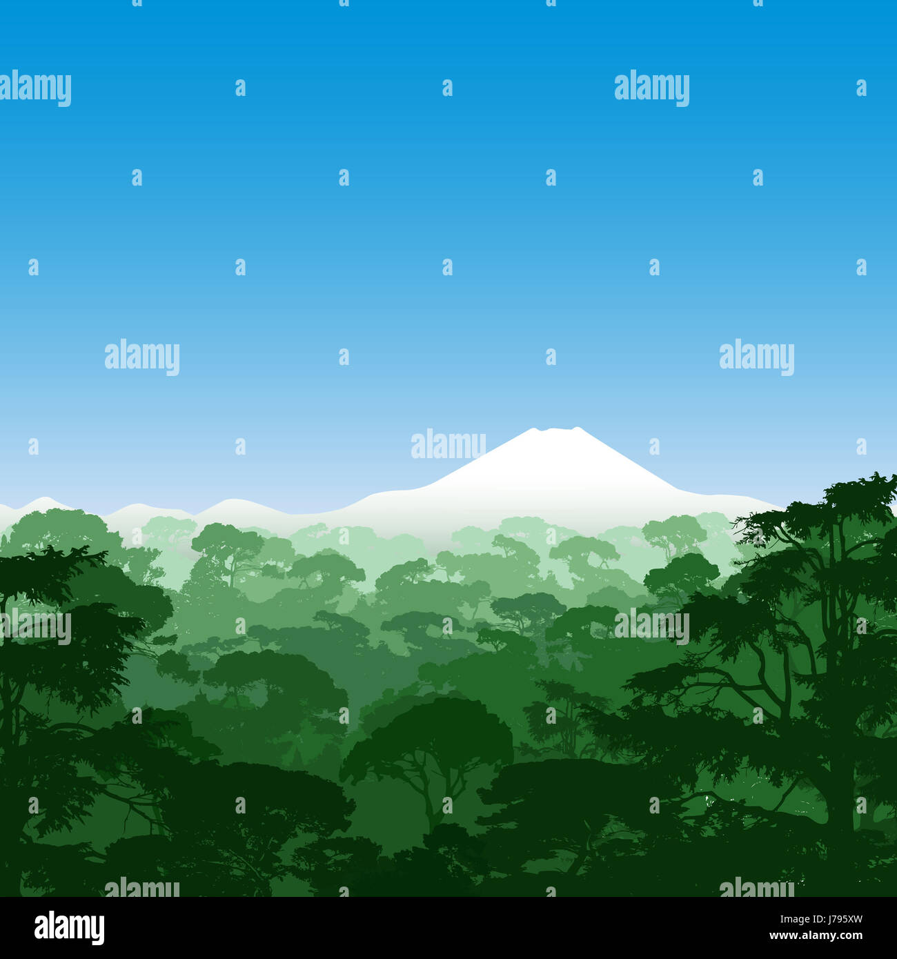 tree vulcan volcano forest environment enviroment tree park heaven ...