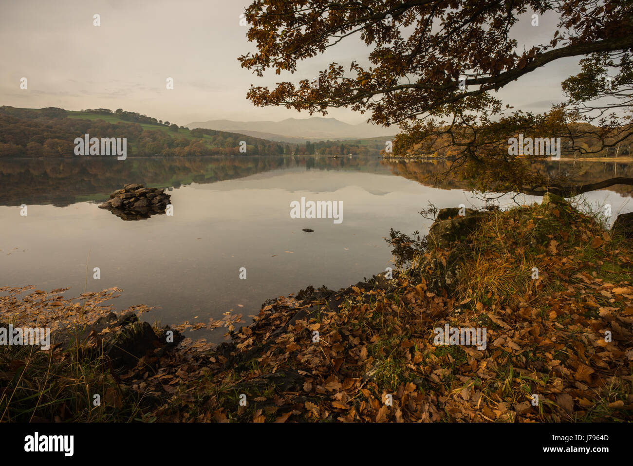 Peel island coniston water, cumbria hi-res stock photography and images ...