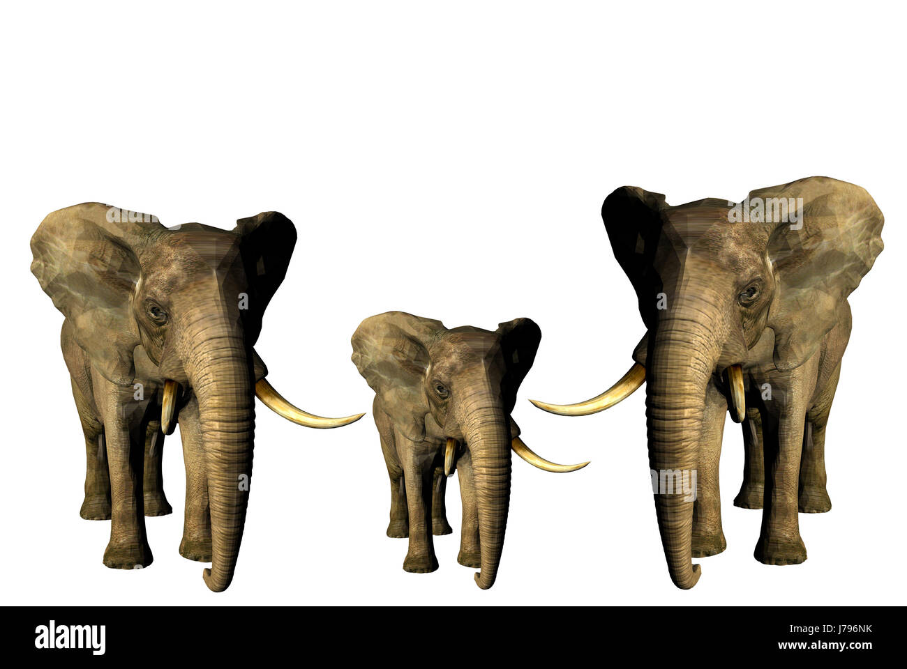 Elephants family Cut Out Stock Images & Pictures - Alamy