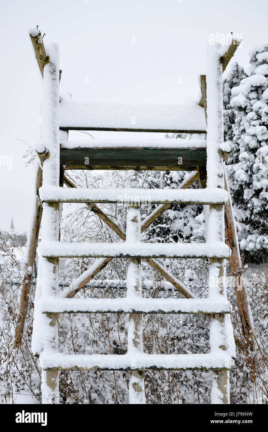 Perch in hi-res stock photography and images - Alamy