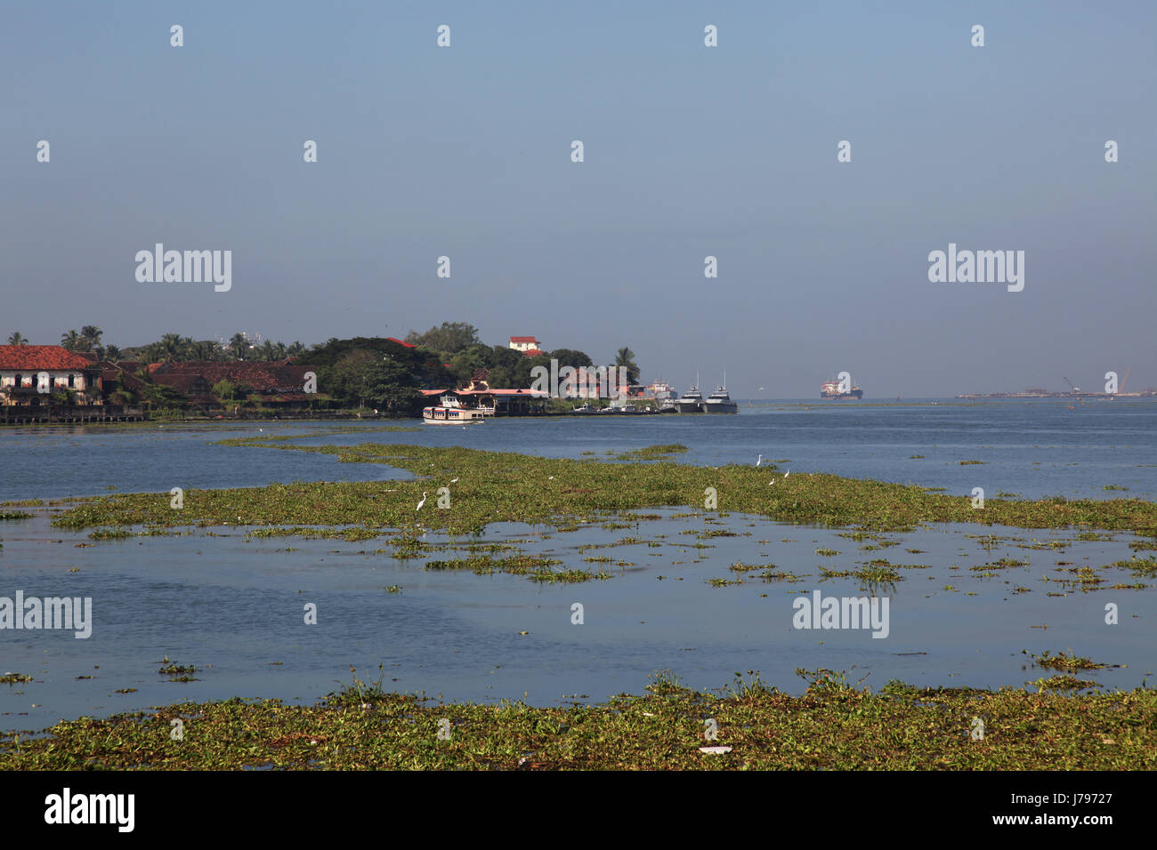 Malabarkste hi-res stock photography and images - Alamy